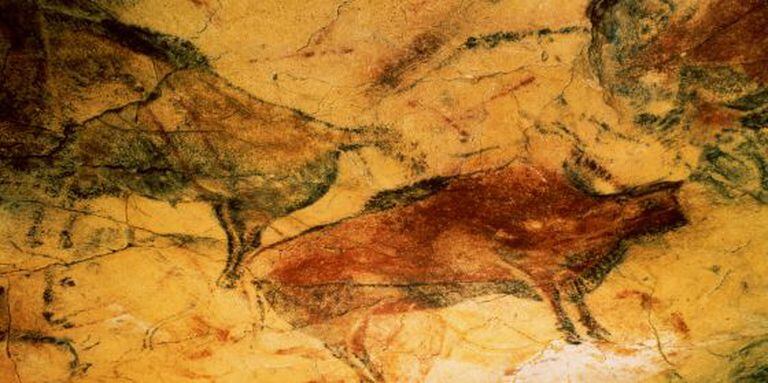 Altamira must be closed to visitors, Spanish scientists tell Unesco ...